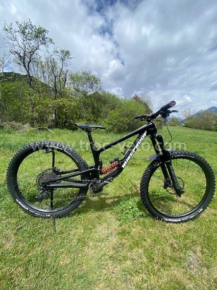 Nukeproof Giga